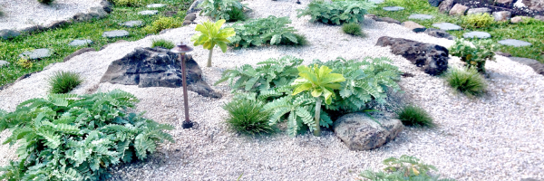 Native Hawaiian Plant Nursery Oahu HI | Habitat Restorations ...